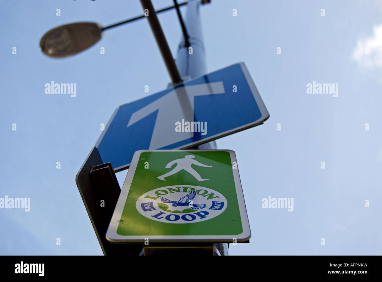 two pole mounted road signs, indicating a one-way street and a section ...