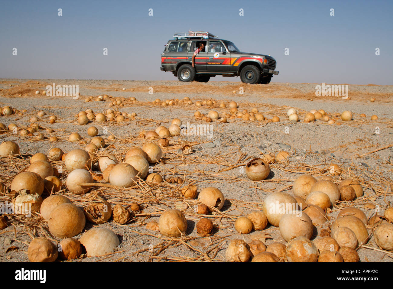 Toyota landcruiser in the libyan desert Stock Photo - Alamy