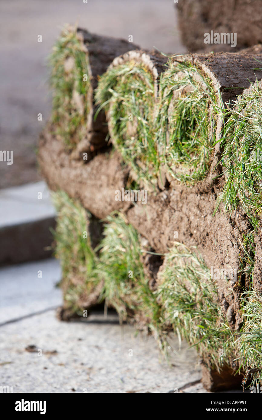 close up of stacks of rolls of turf Belfast Northern Ireland UK ...
