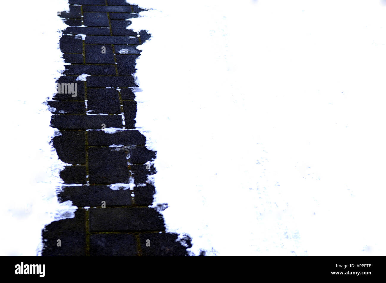 snow snowfall winter wintry cold path pathway sidewalk pavement way ...