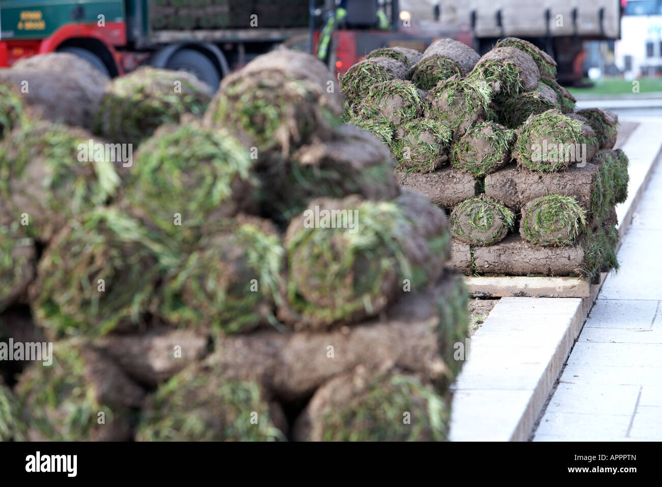 piles of stacked lawn turf rolls on pallets ready to be laid Belfast ...