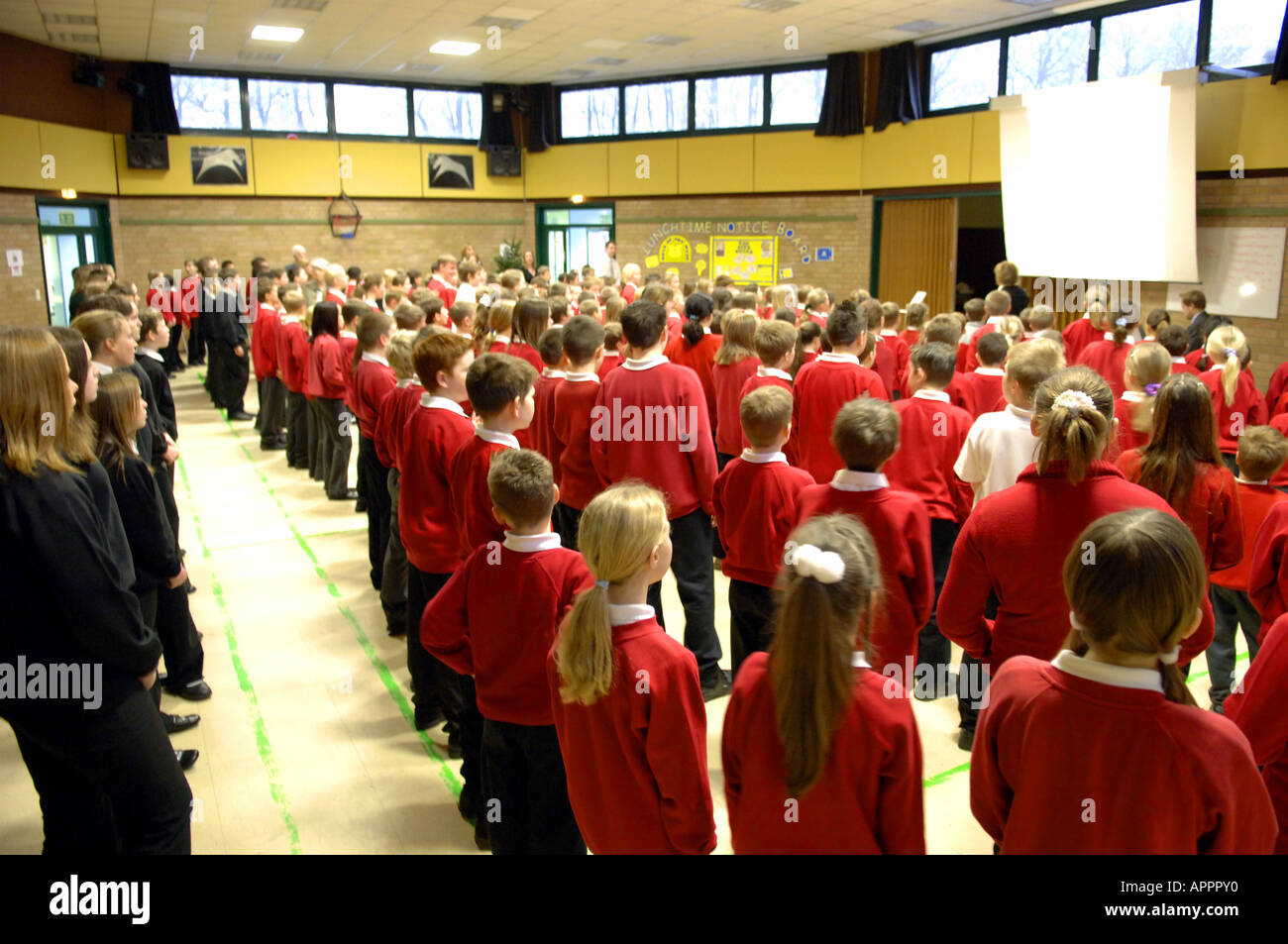students kids children pupils assembly standing stand schooling school ...