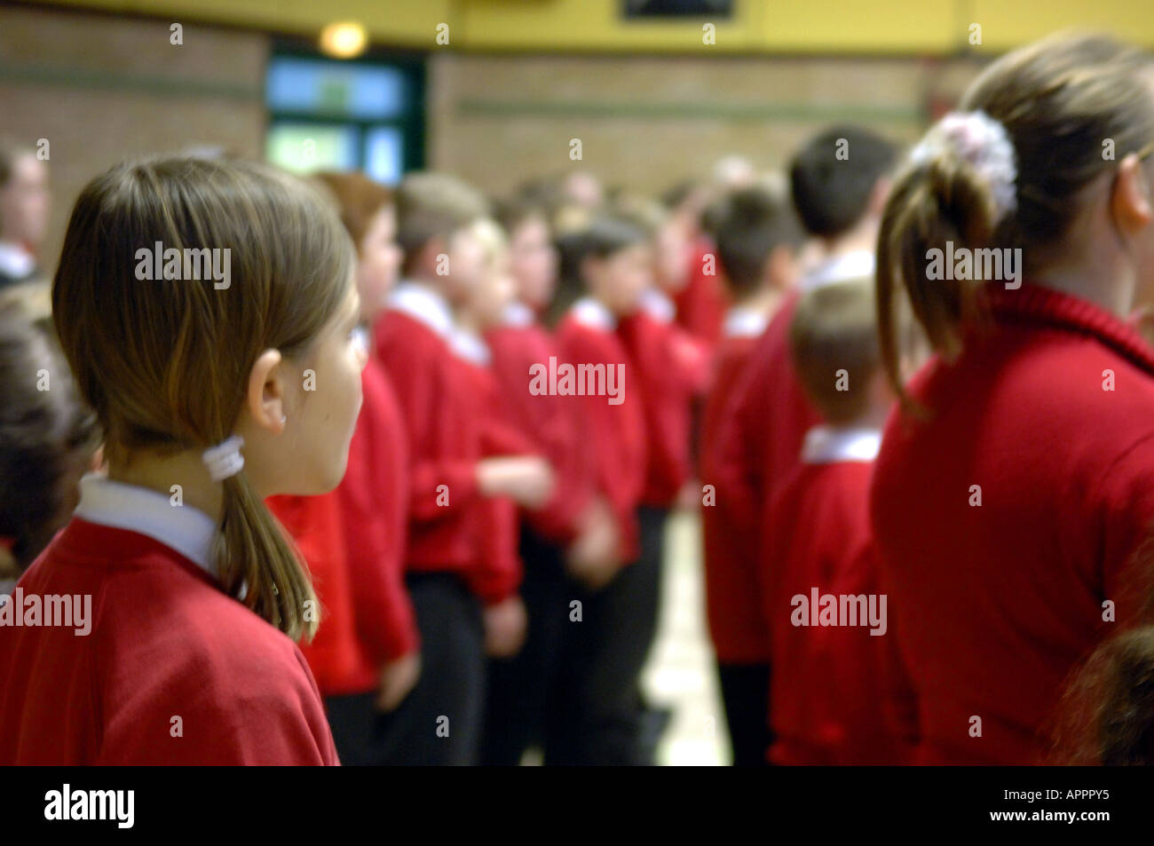 students kids children pupils assembly standing stand schooling school ...