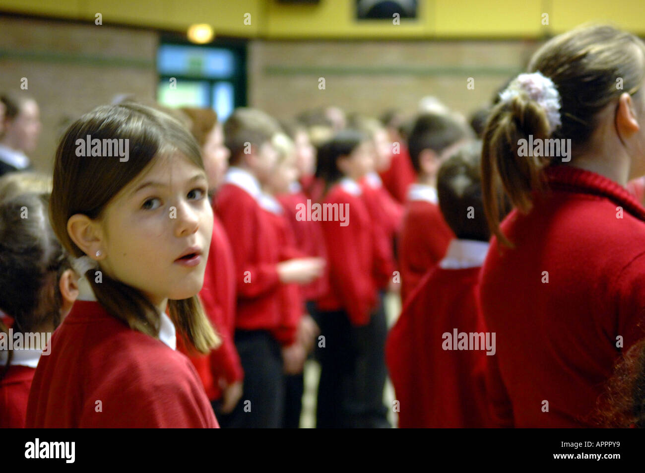 School assembly kids pupils students hi-res stock photography and ...