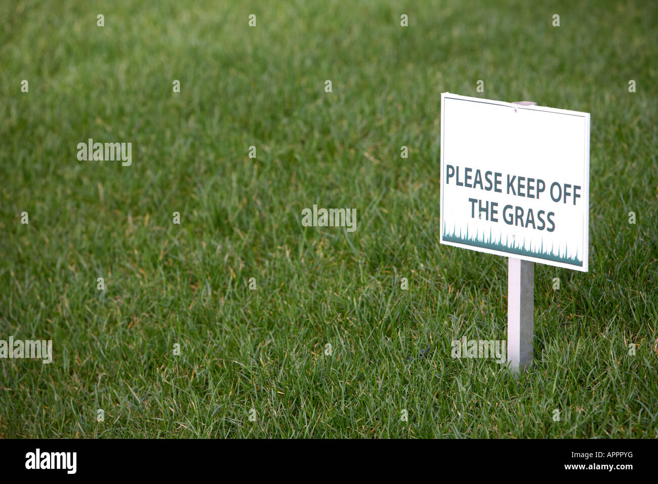 please keep off the grass sign put into area of freshly laid new turf ...