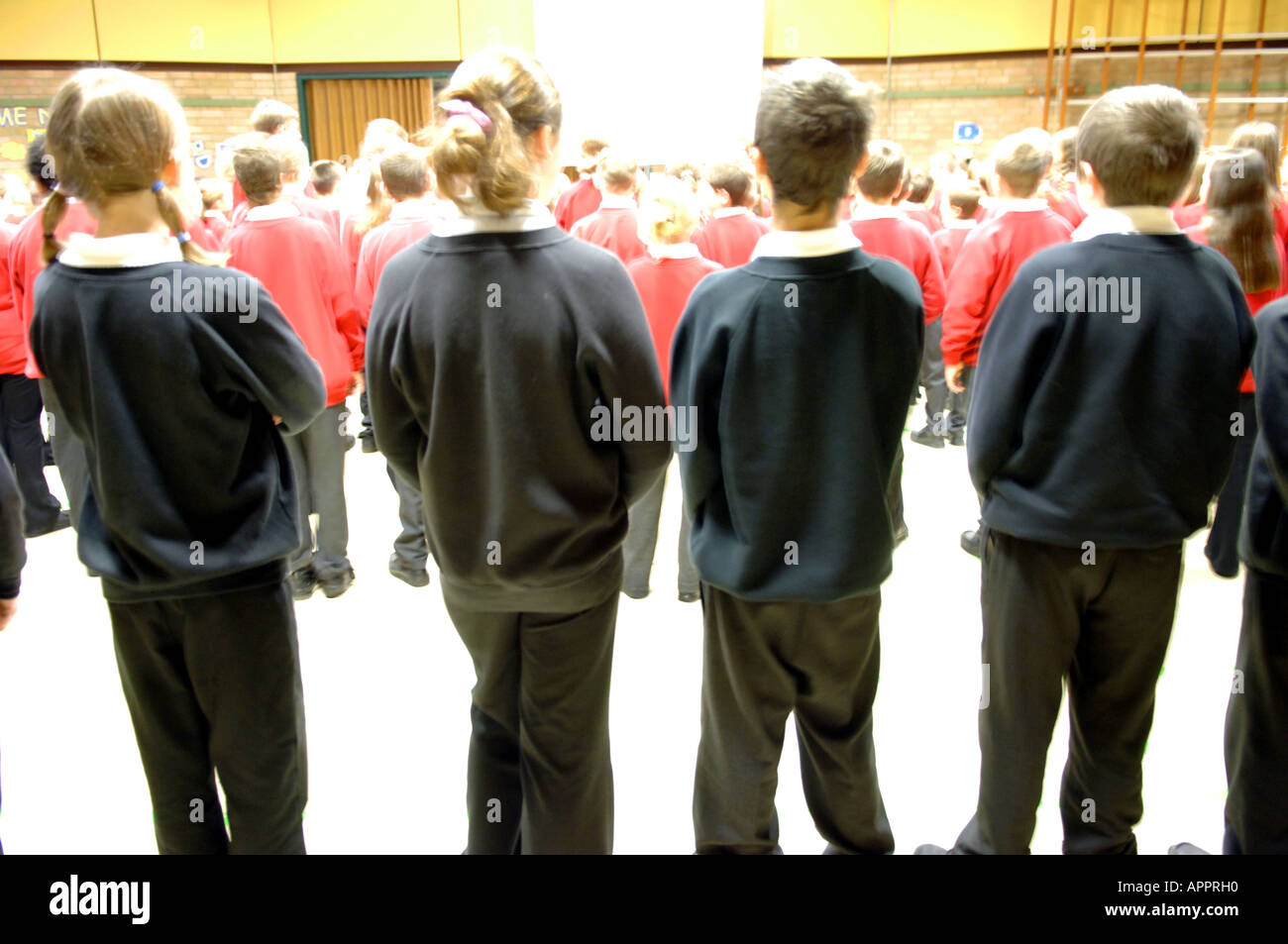 students kids children pupils assembly standing stand schooling school ...