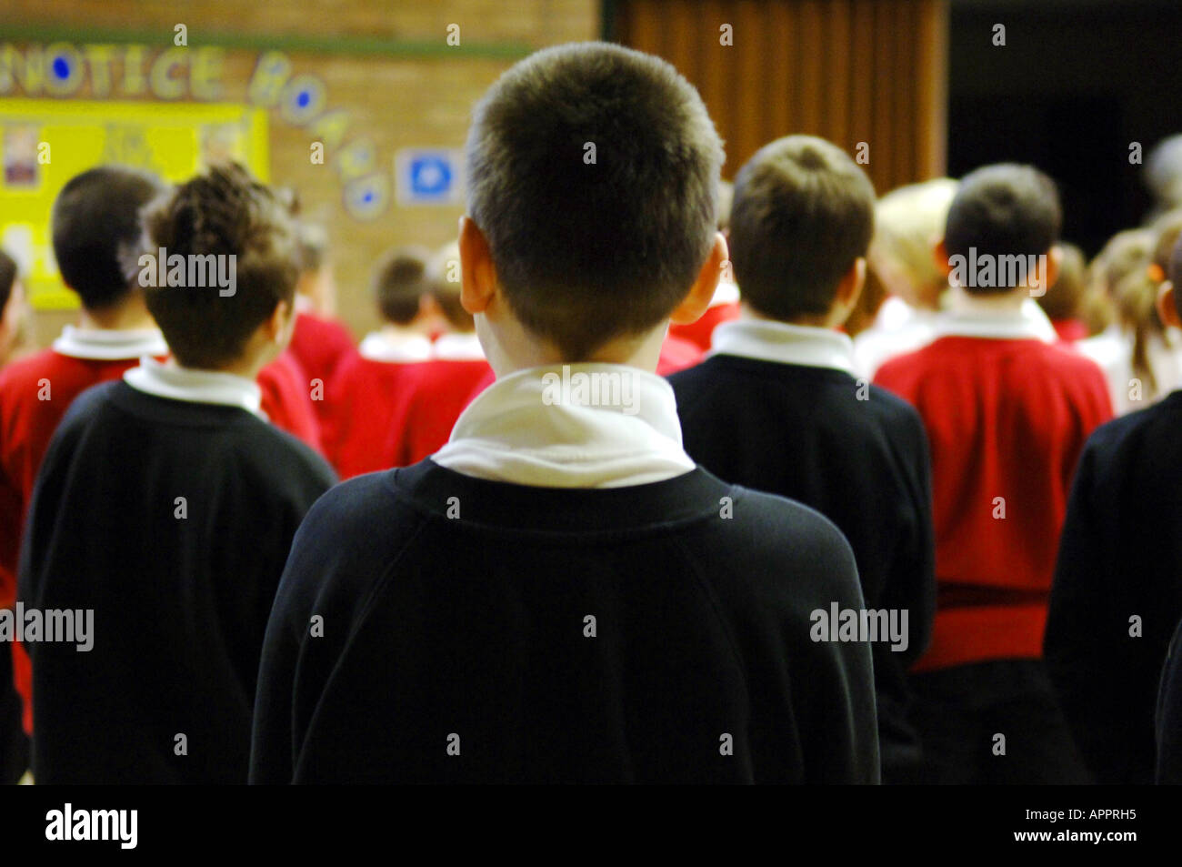 students kids children pupils assembly standing stand schooling school ...