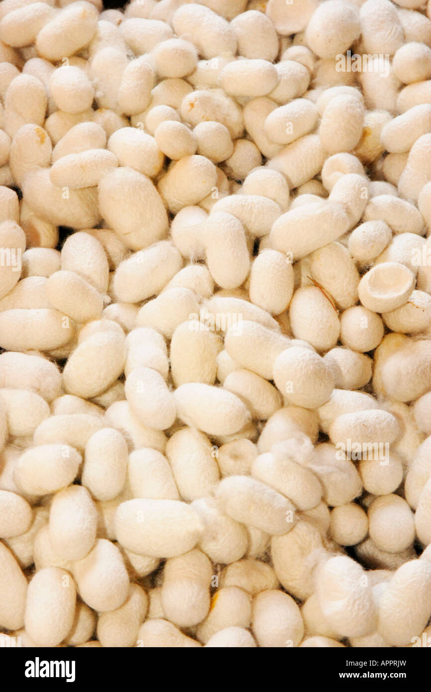 Cocoon market hi-res stock photography and images - Alamy