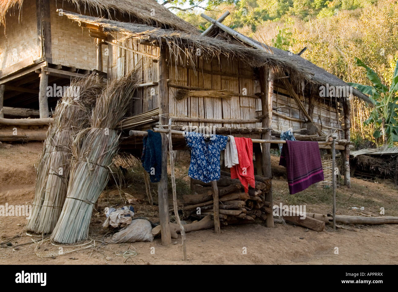 Traditional Dwelling in a Rural Village Near the Mekong River, Laos, SE ...