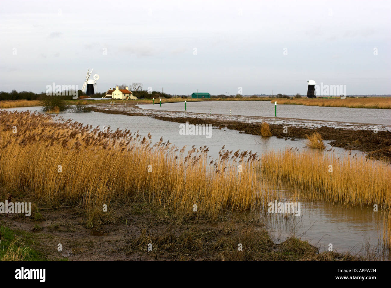 Norfolk floods hi-res stock photography and images - Alamy