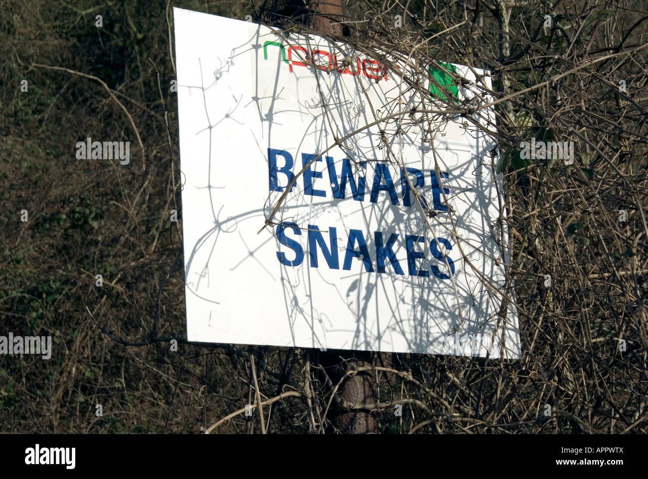 Beware Of Adders Sign High Resolution Stock Photography and Images - Alamy