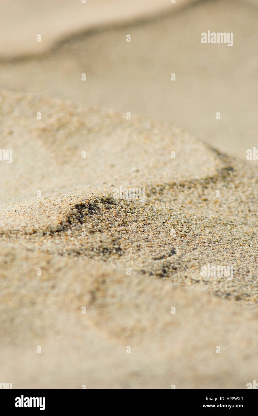 Sand dune ripples at Jockey s Ridge State Park on the Outer Banks NC ...