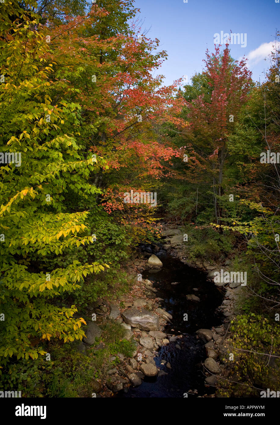 river, fishing, vermont, fall sky, fall leaves, outdoors, rocks, river ...
