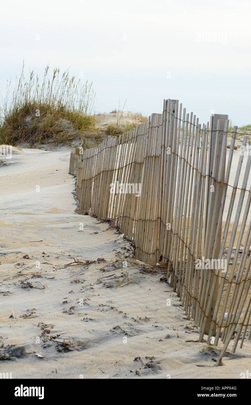 A wind fence on the sand dunes in the Outer Banks NC Stock Photo - Alamy