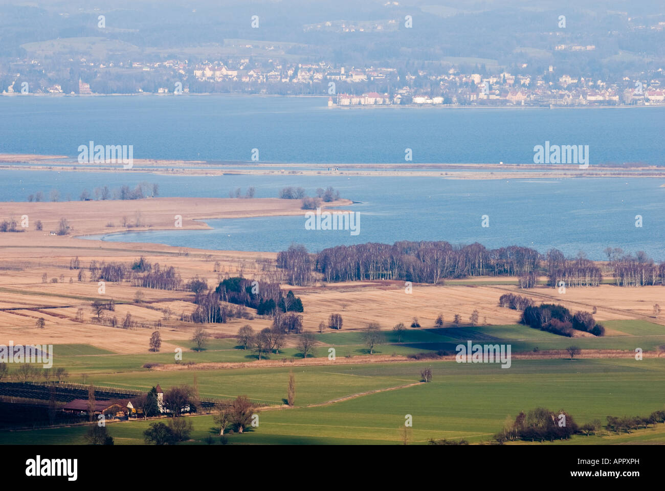 Lake Constance (Bodensee) Nature Reserve Rheinspitz in Vorarlberg ...