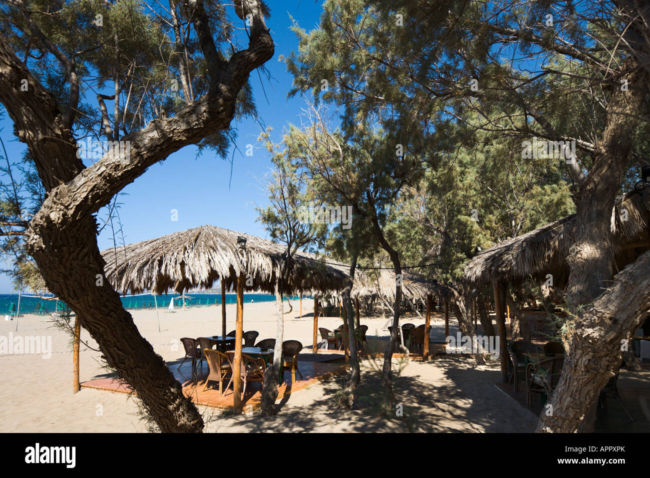 Beach Bar, Paleochora Beach, South West Coast, Hania Province, Crete ...