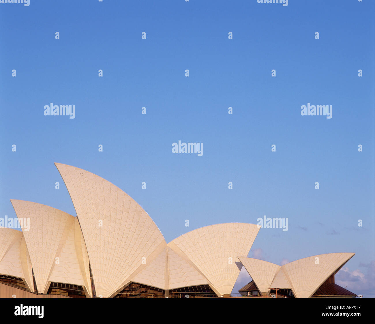 Side view of Sydney Opera House with its complex of roofs shaped like ...
