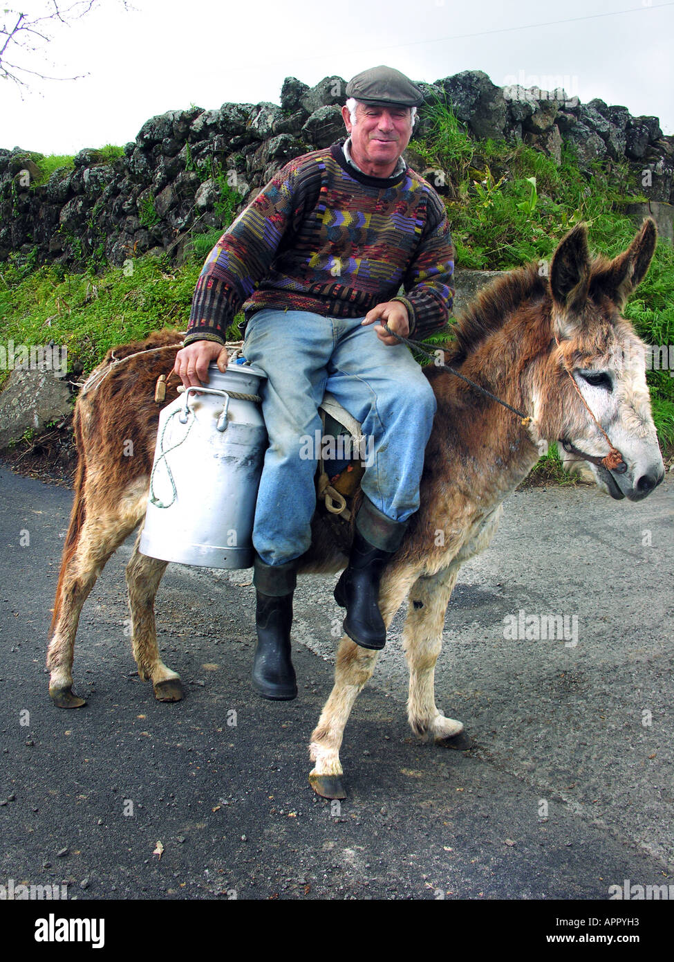 Donkey carrying milk hi-res stock photography and images - Alamy