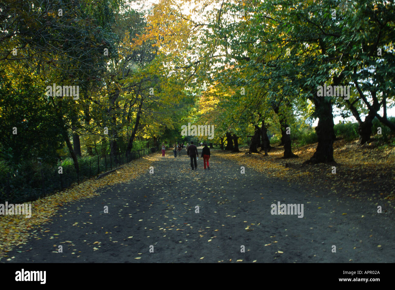 Walking tracks hi-res stock photography and images - Alamy