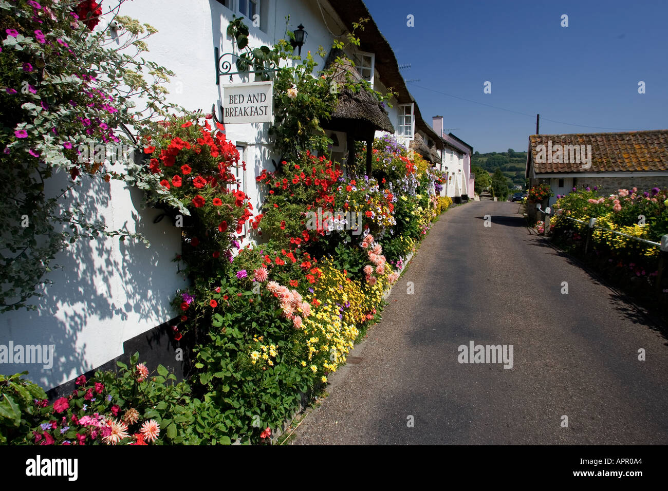 Branscombe village hi-res stock photography and images - Alamy