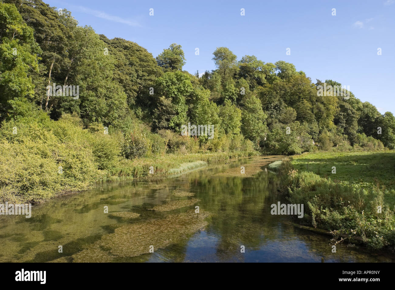 River Lathkill from Conksbury Bridge, Lathkill Dale, Peak District ...