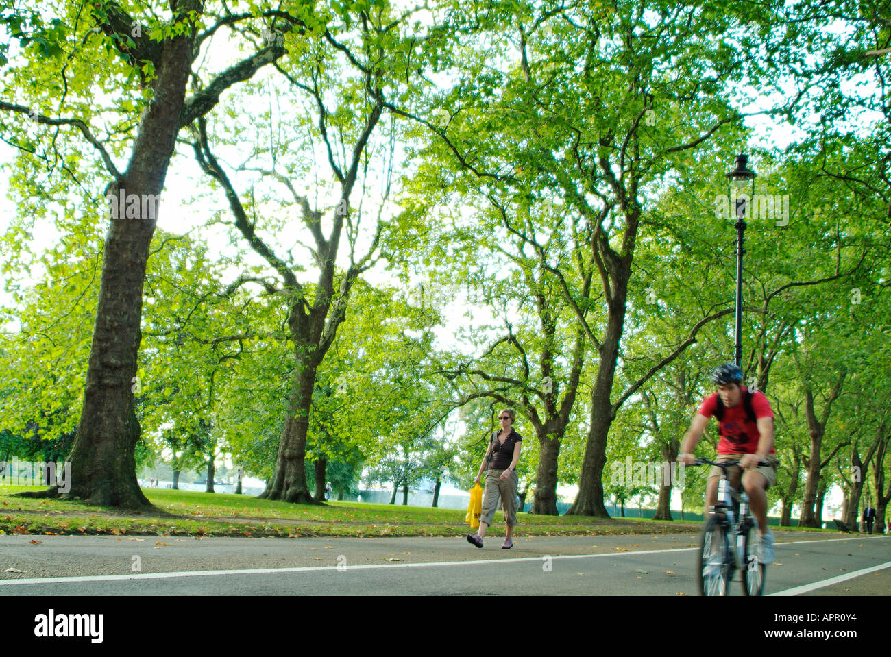 Cycling on Broad Walk in Hyde Park, London Stock Photo - Alamy