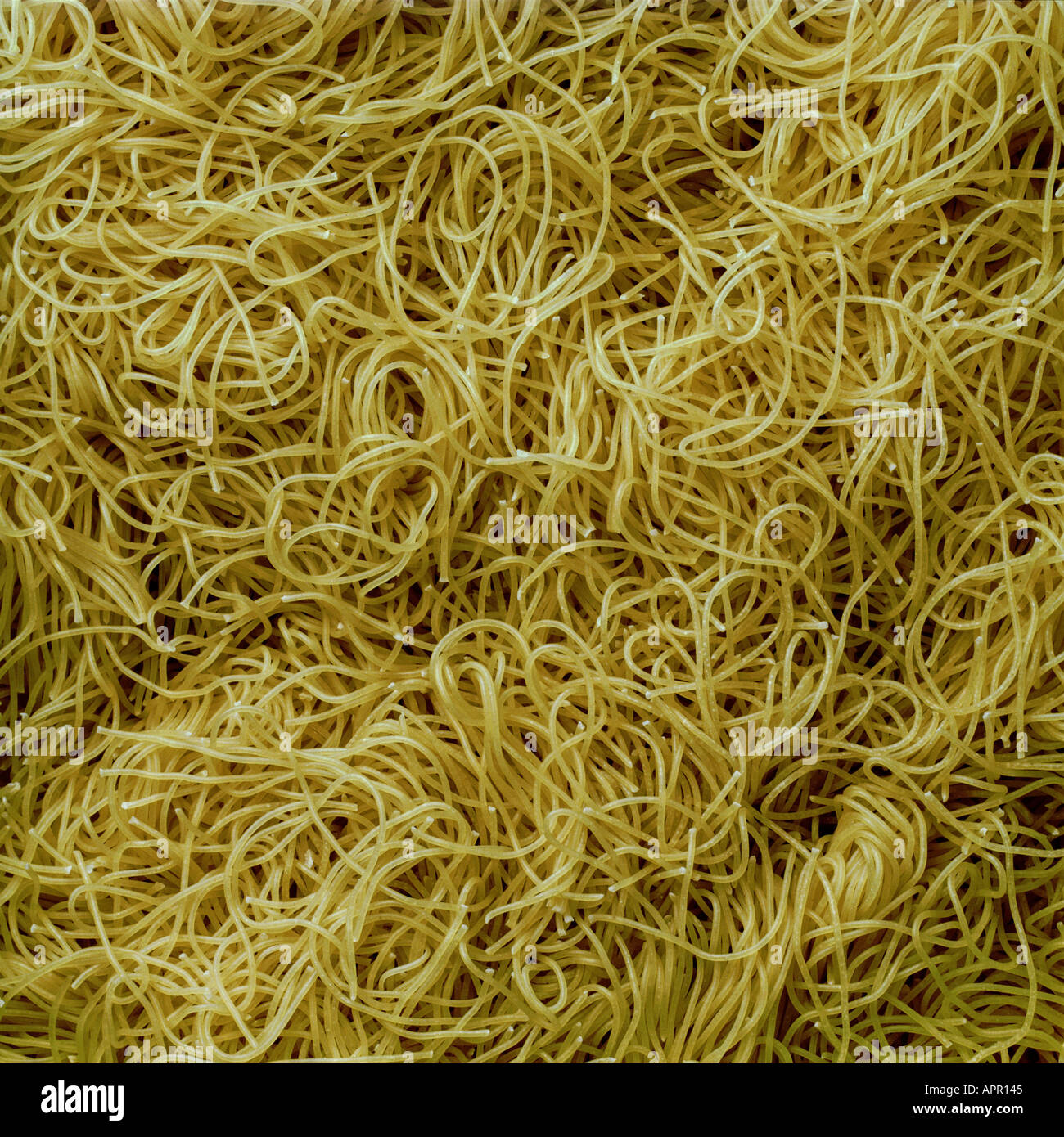 large quantity of spaghetti in production at food processing plant ...