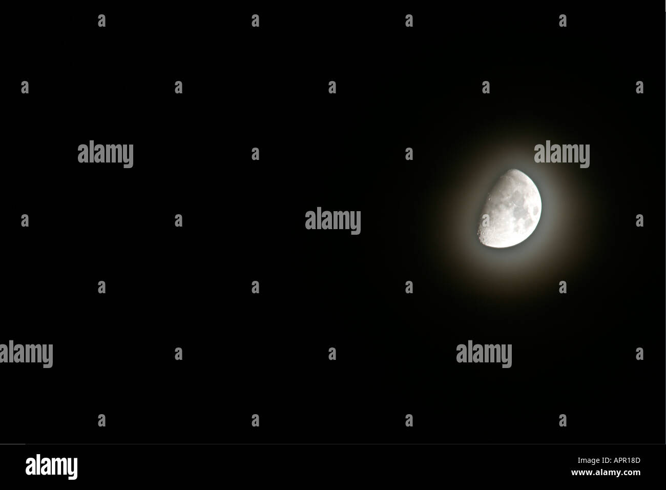 moon solar midnight night dark howl were werewolf blue harvest hunters ...