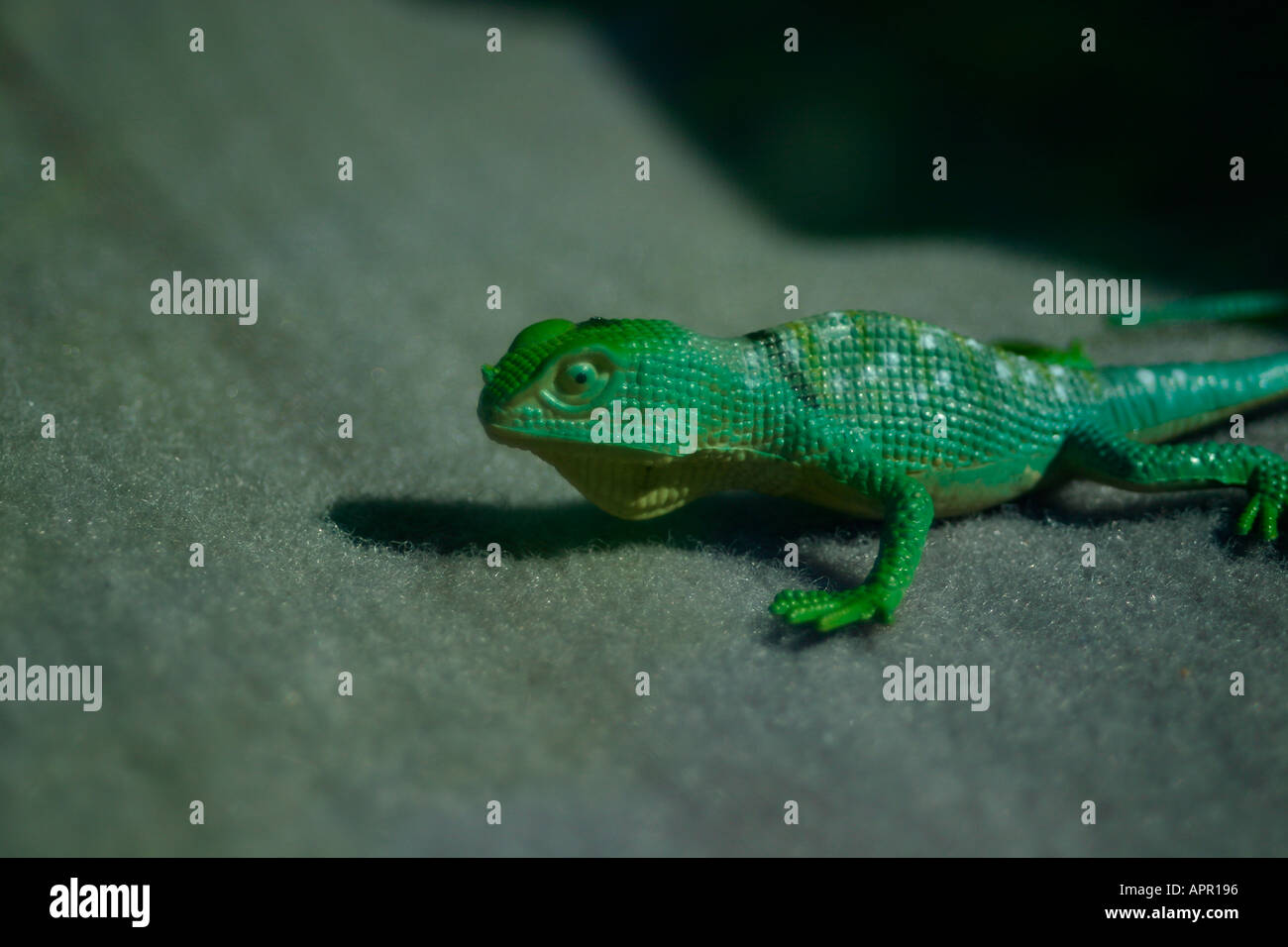 Any of various cold blooded usually egg laying vertebrates of the class ...