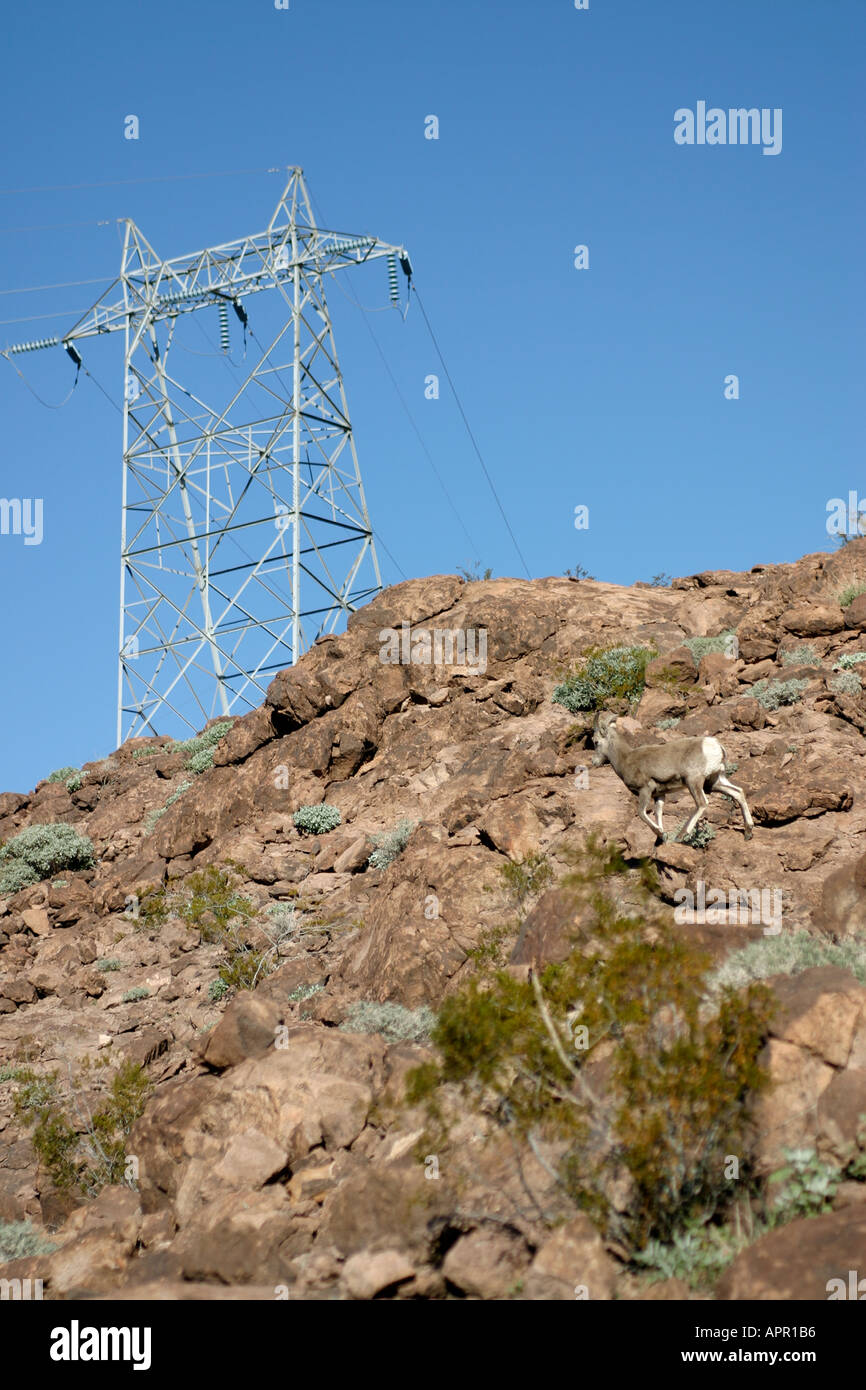 electricity electric power line lines powerlines powerline transformer ...