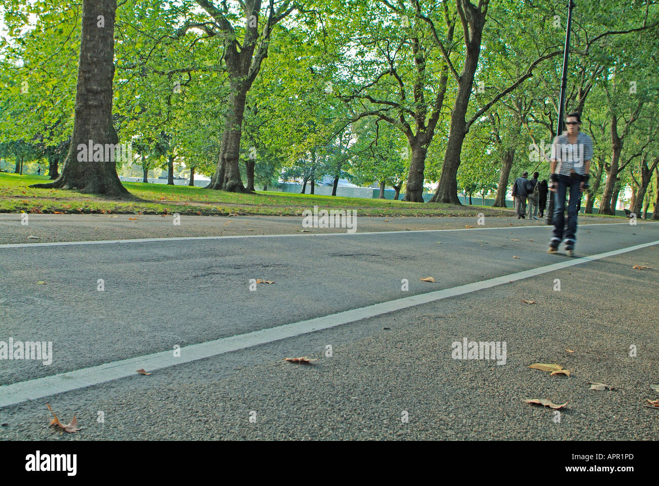 Great broad walk hi-res stock photography and images - Alamy