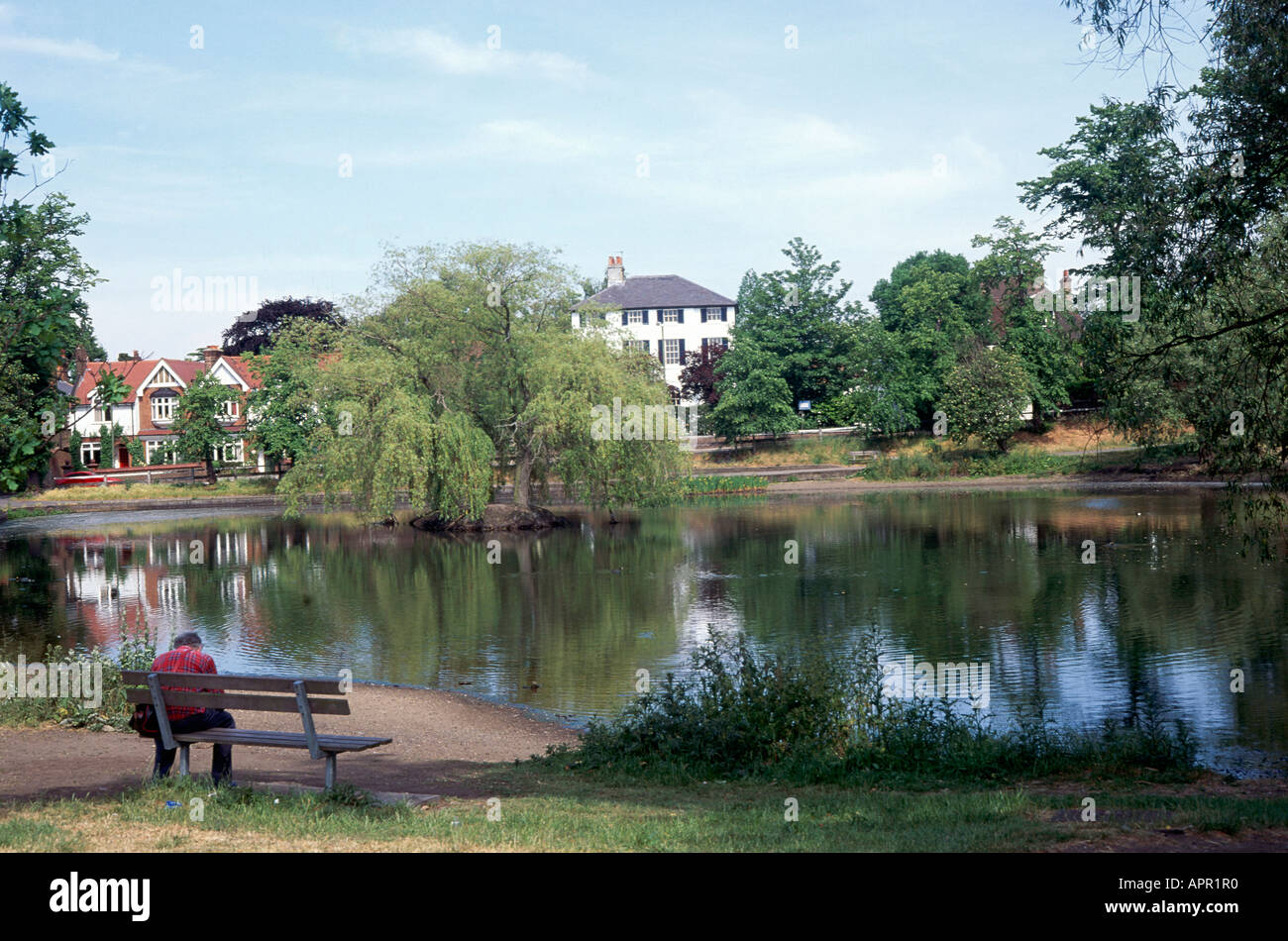 A man on a bench in Chislehurst Common with houses behind trees in the ...