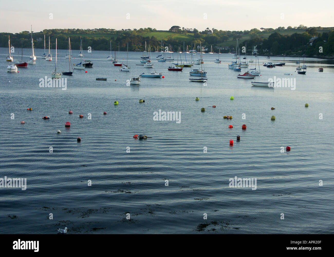 Loe Beach Feock Falmouth Cornwall UK Stock Photo - Alamy