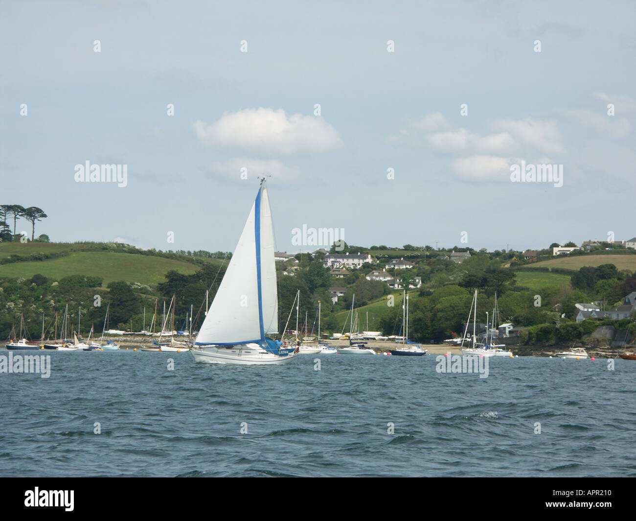 Loe Beach Feock Cornwall UK Stock Photo - Alamy