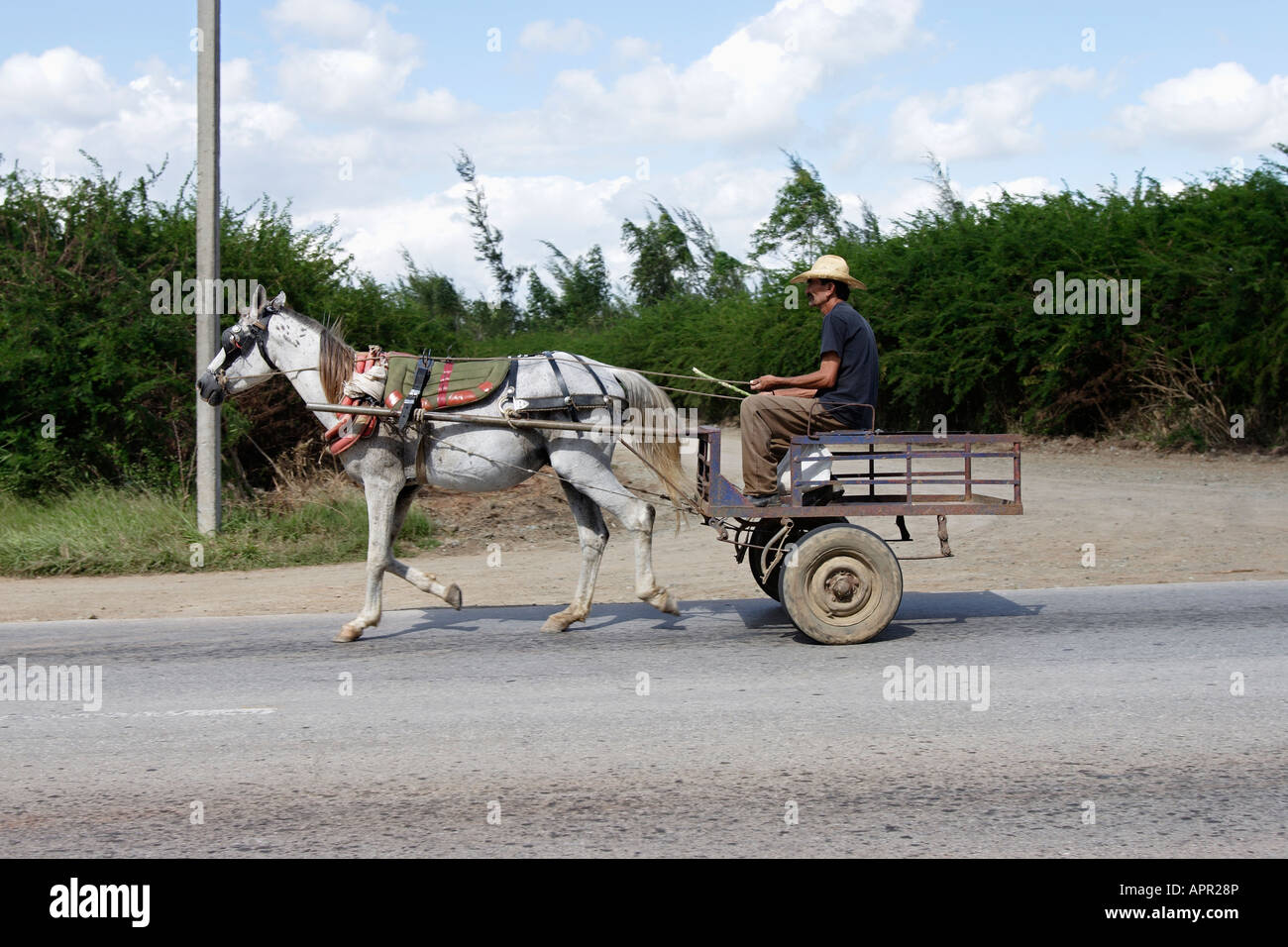 Man riding a cart in a Cuban road Stock Photo - Alamy