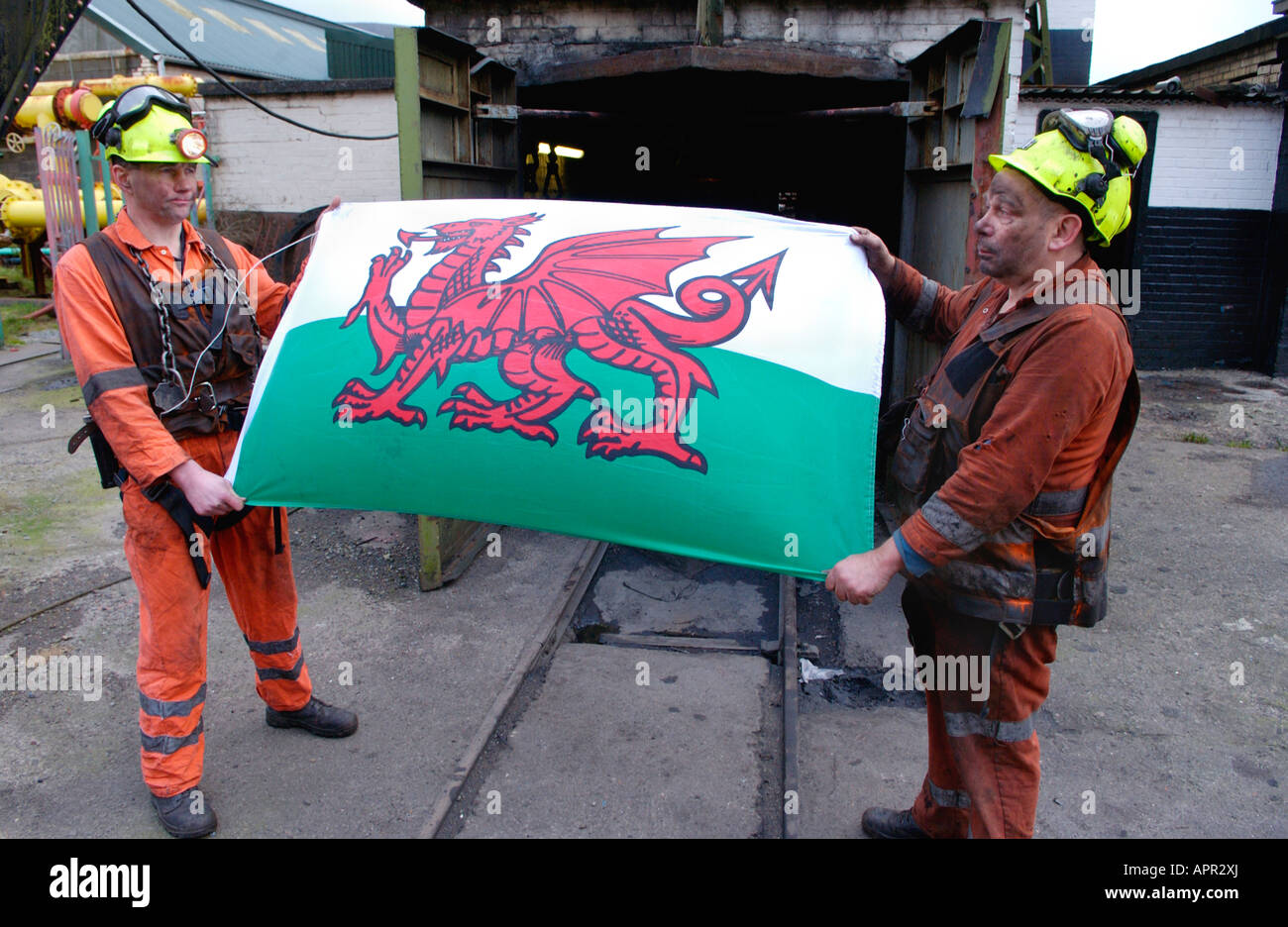 Miners with Welsh flag at Tower Colliery Hirwaun South Wales UK EU on ...