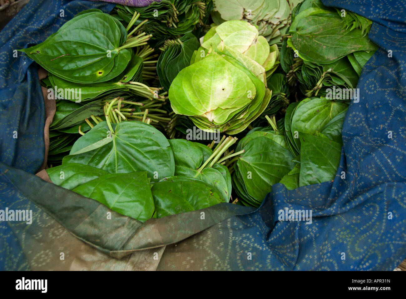Wrapped in betel leaf hi-res stock photography and images - Alamy