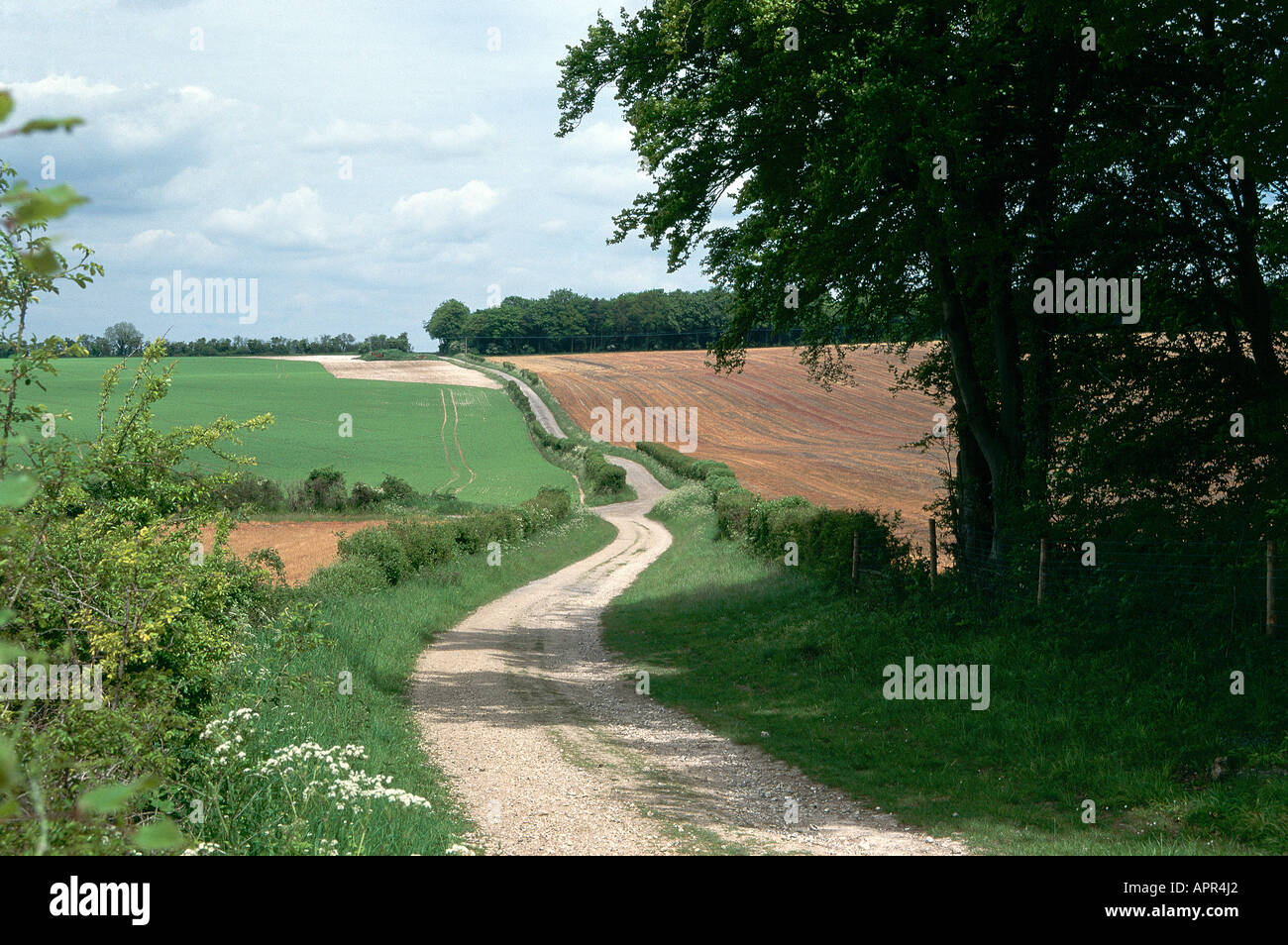 Wayfarer s Walk passing through farm land Stock Photo - Alamy