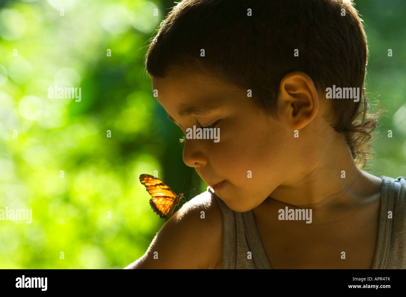 Children investigating bugs hi-res stock photography and images - Alamy