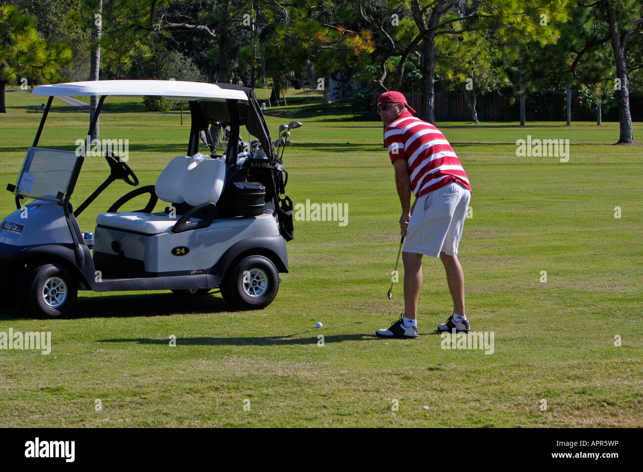 man on golf course Stock Photo - Alamy