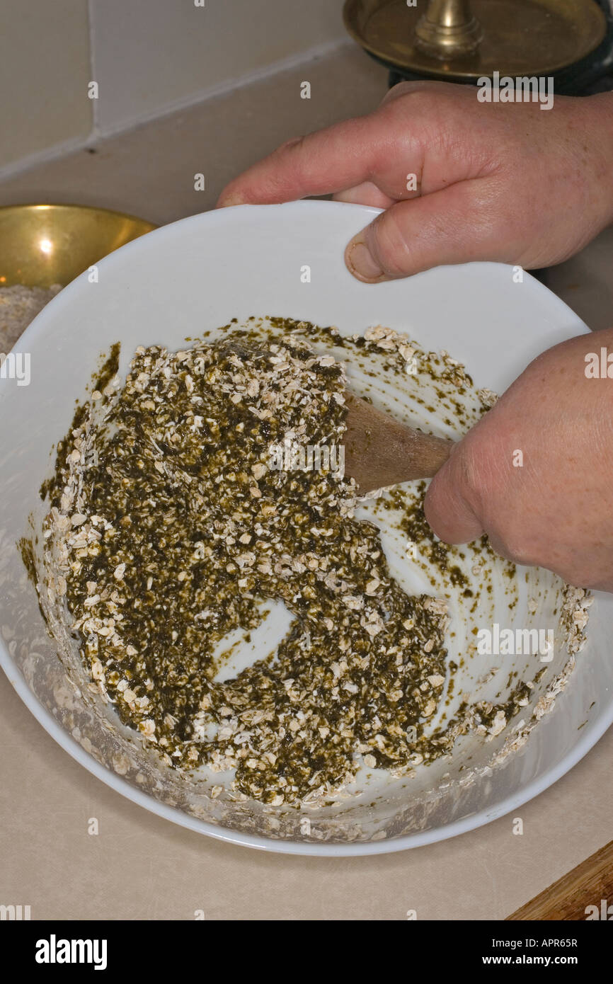 MAKING LAVERBREAD OATCAKES MIXING THE OATS AND LAVERBREAD Stock Photo ...