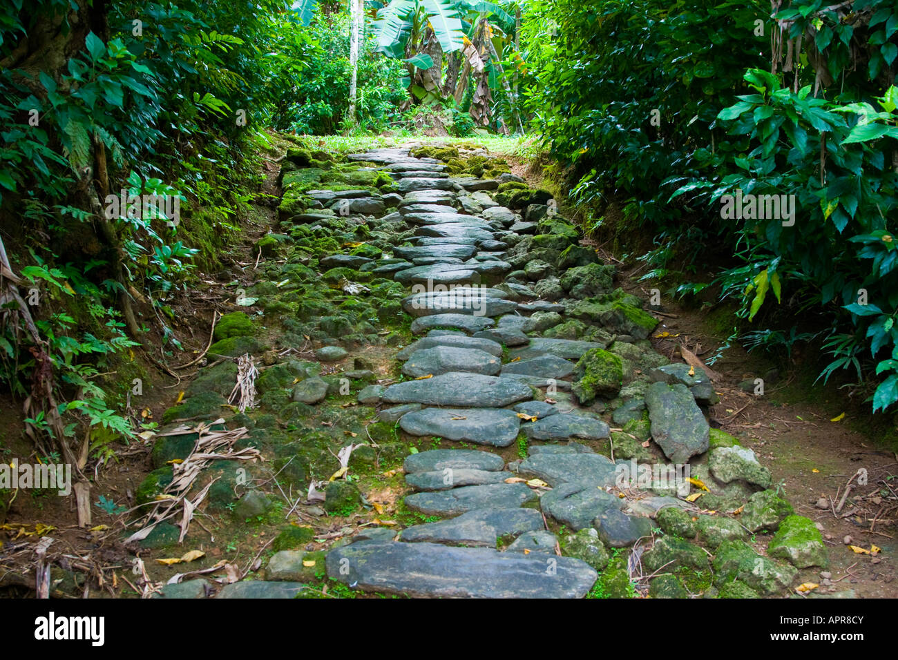 Village yap island hi-res stock photography and images - Alamy