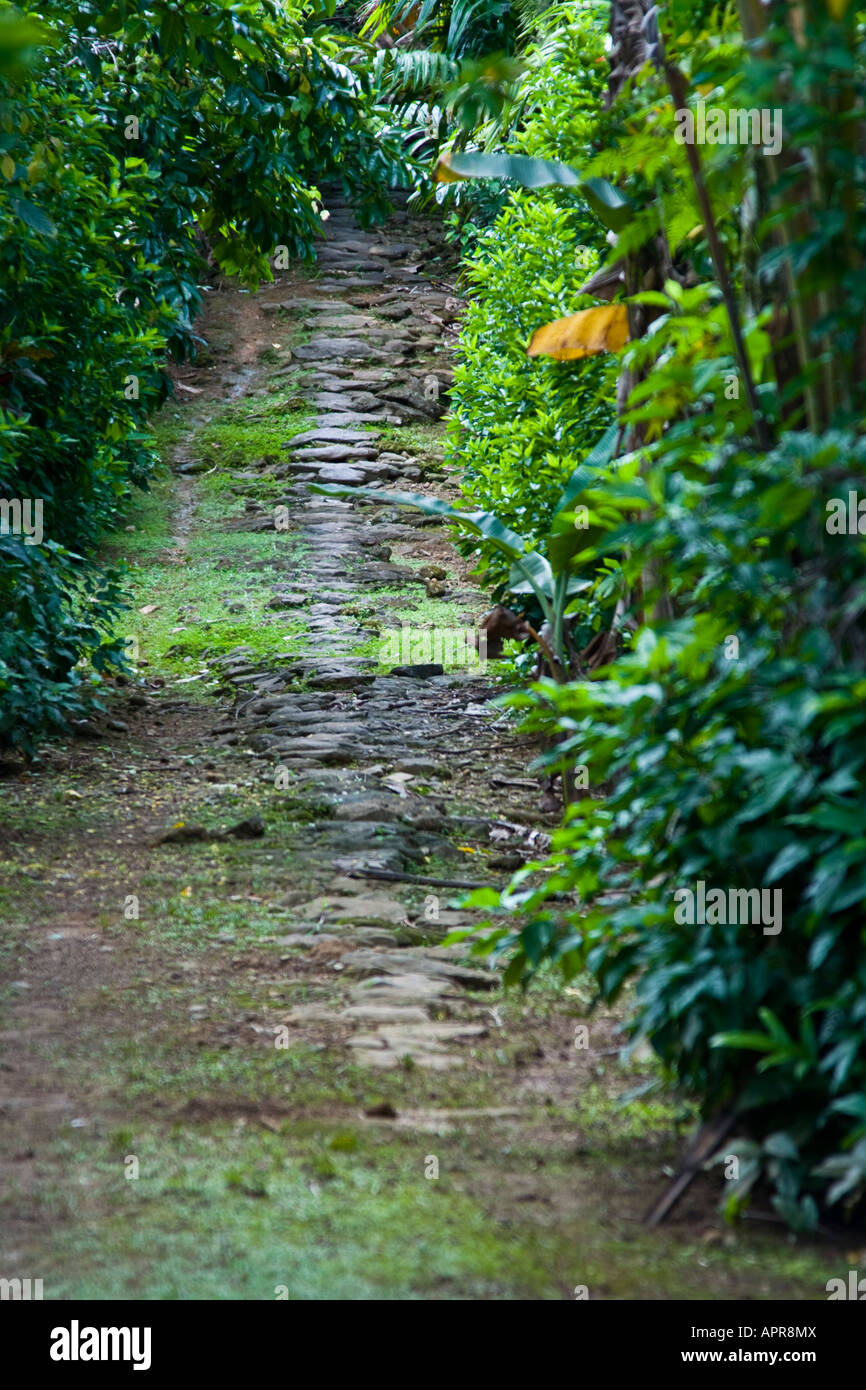 Ancient Stone Walkway on Yap Island Stock Photo - Alamy