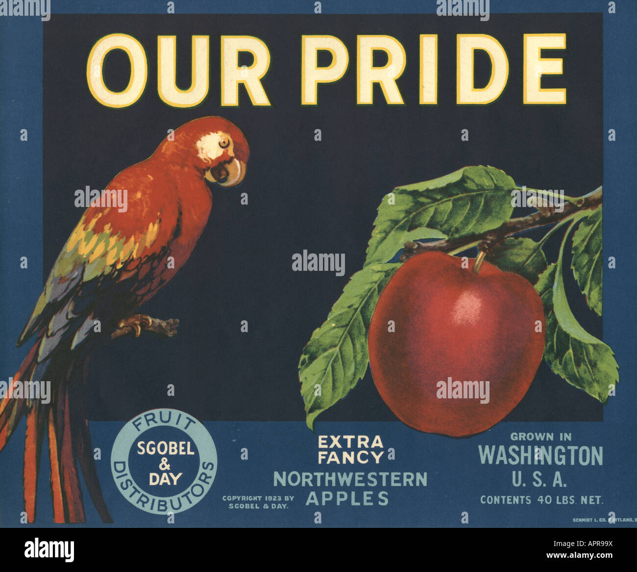 Apple fruit identification hi-res stock photography and images - Alamy