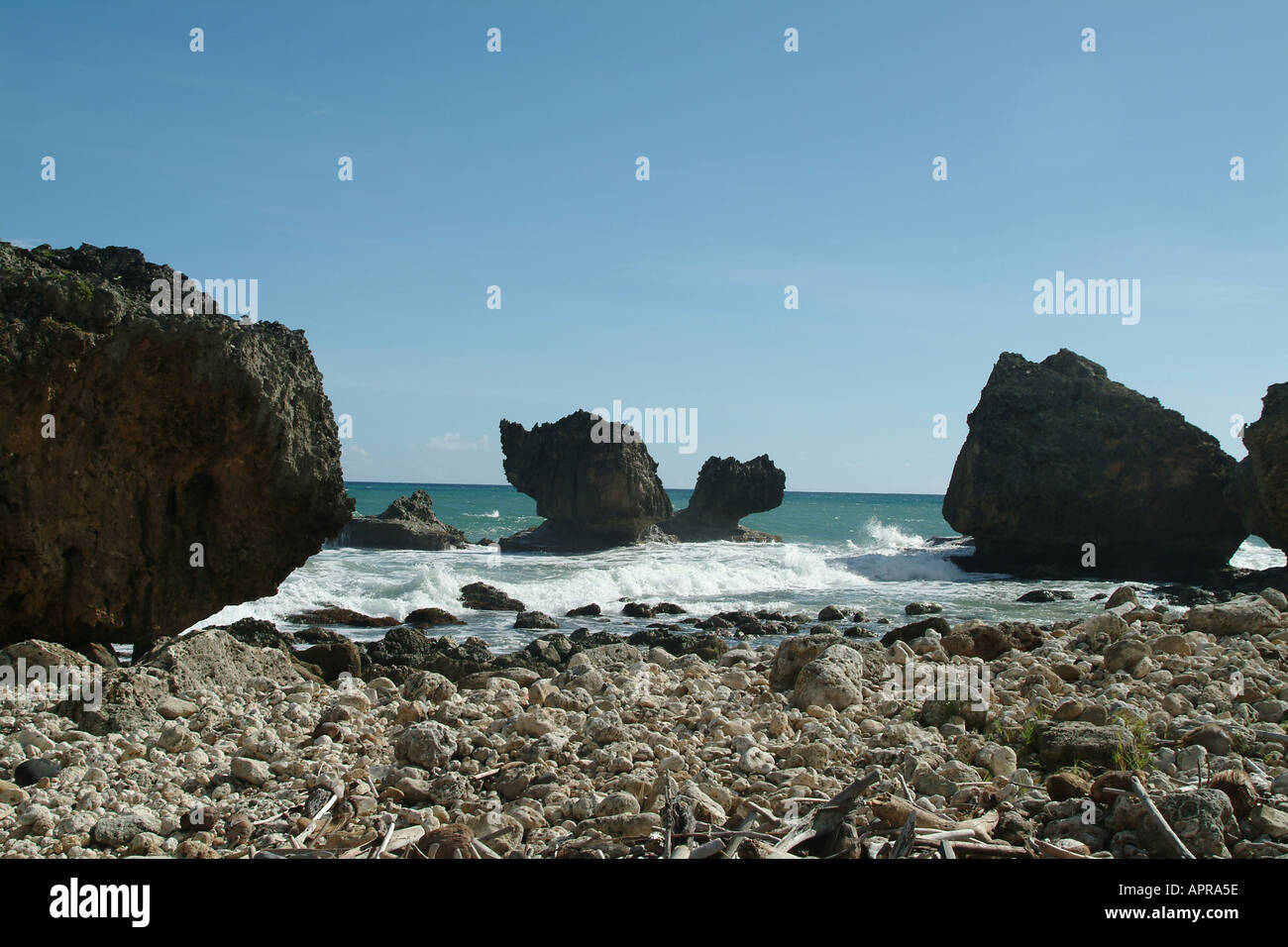 Barbados atlantic coast bathsheba rocks hi-res stock photography and ...