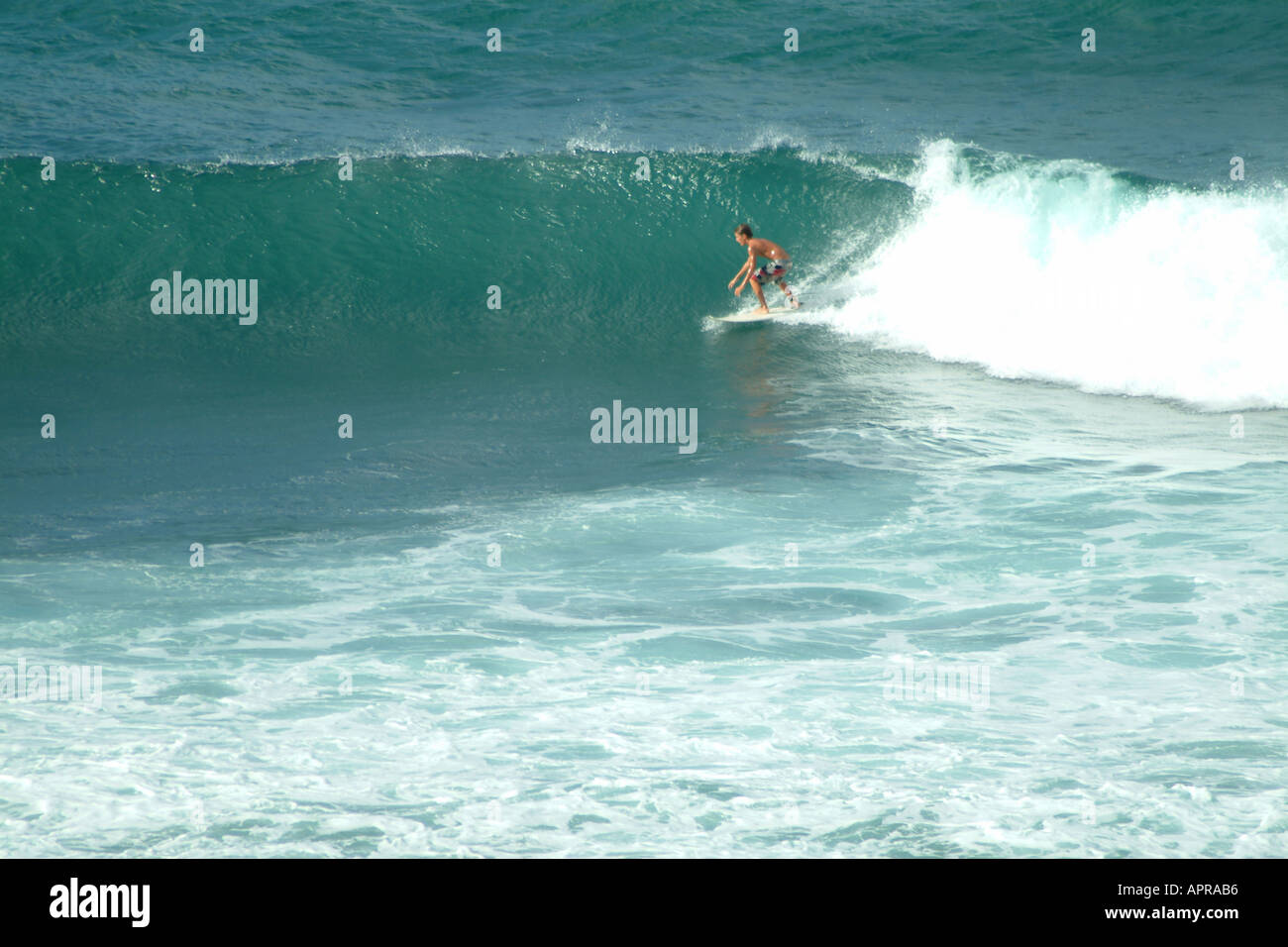 Surfer riding a wave at Bathsheba East Coast Barbados Stock Photo - Alamy