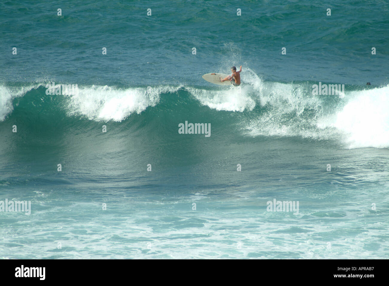 Surfer riding a wave at Bathsheba East Coast Barbados Stock Photo - Alamy