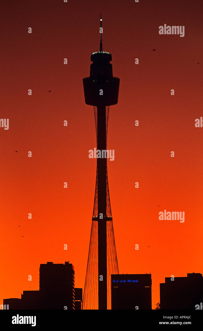 View in the night sky of the Sydney telecommunications tower AMP Tower ...