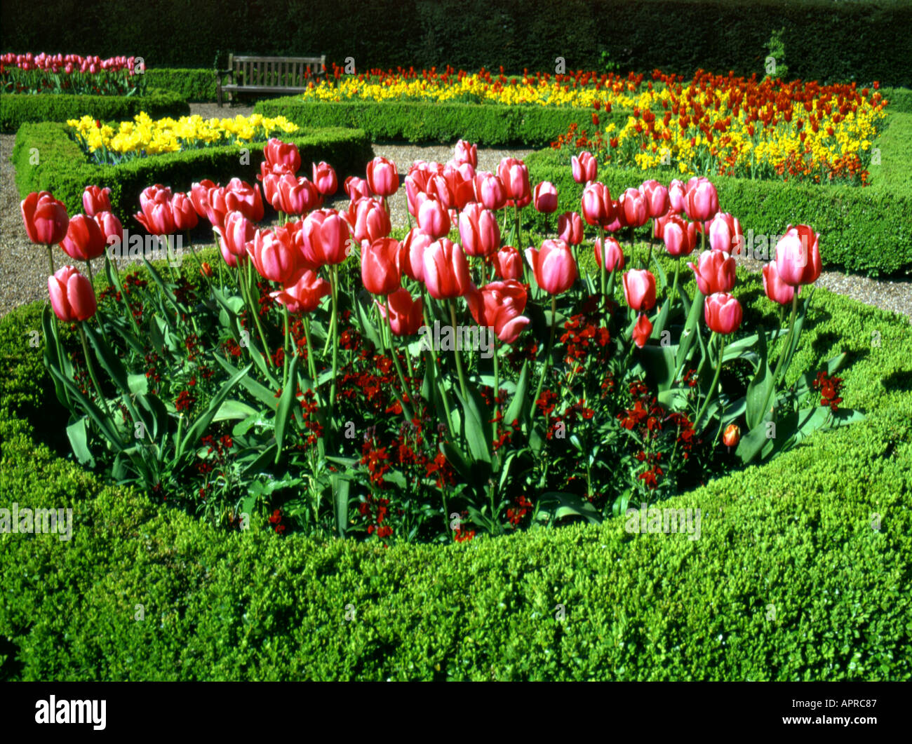 Cardiff friary gardens hi-res stock photography and images - Alamy