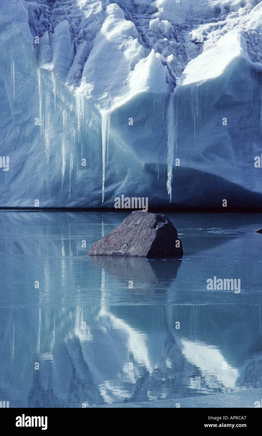 Rock floating in frozen meltpool George VI Ice Shelf Alexander Island ...